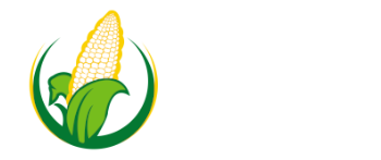 About Us – TMLT Holdings